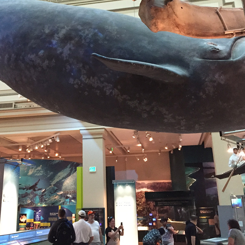 Sant Ocean Hall | Washington DC