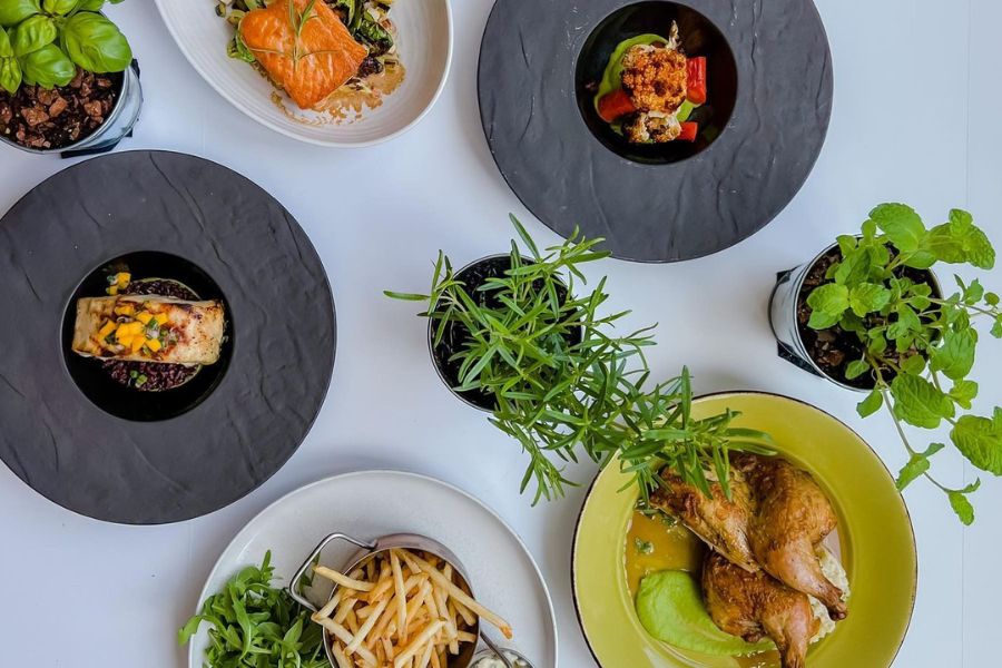 Best Farm-to-Table Restaurants in Washington, DC | Washington DC