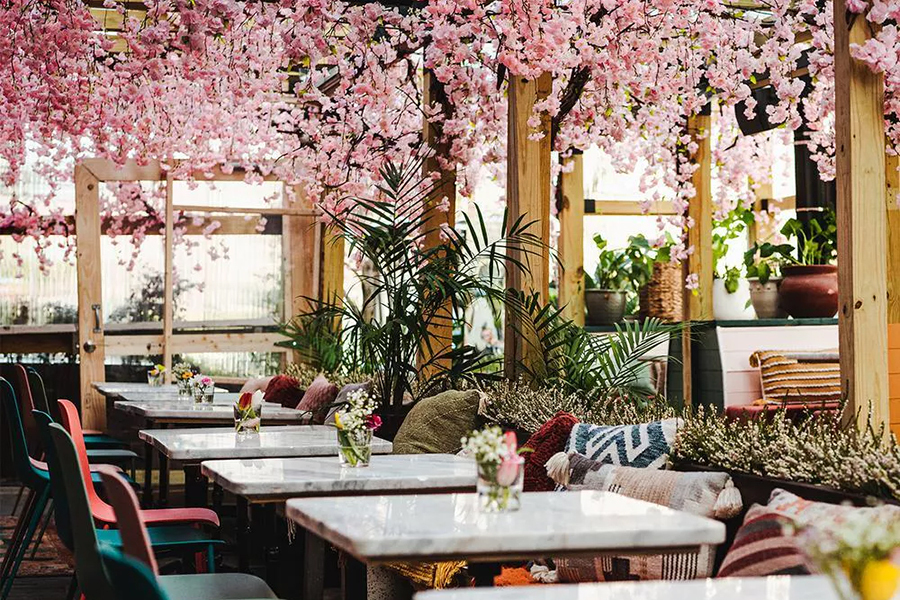 Best Restaurant Patios for Outdoor Dining in DC | Washington DC