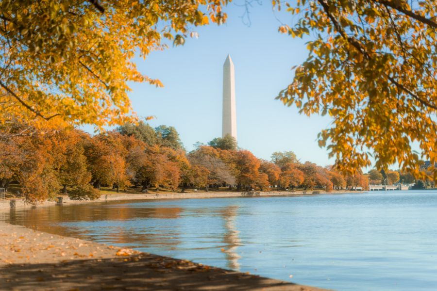 Best Places to Photograph Fall Foliage in DC | Washington DC