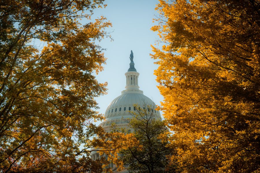 Best Places to Photograph Fall Foliage in DC | Washington DC