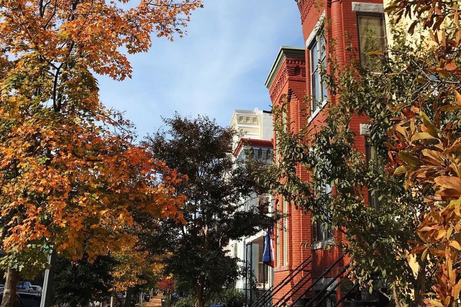 Best Places to Photograph Fall Foliage in DC | Washington DC