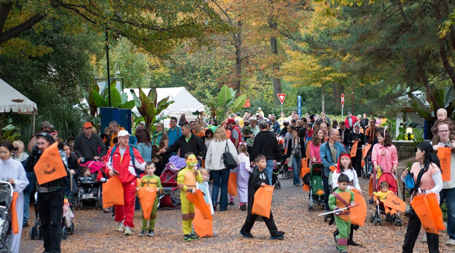 Ways to Celebrate Halloween & Día de los Muertos In & Around Washington, DC