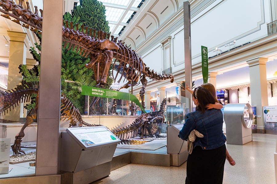 Fabulous Things to Do This Summer in DC | Washington DC
