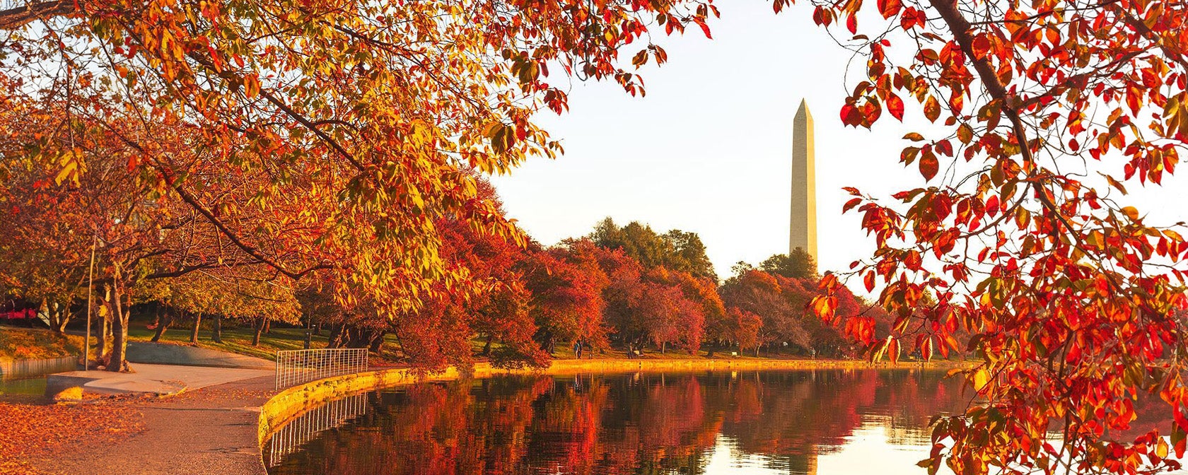 Journalist Newsletter | Washington DC