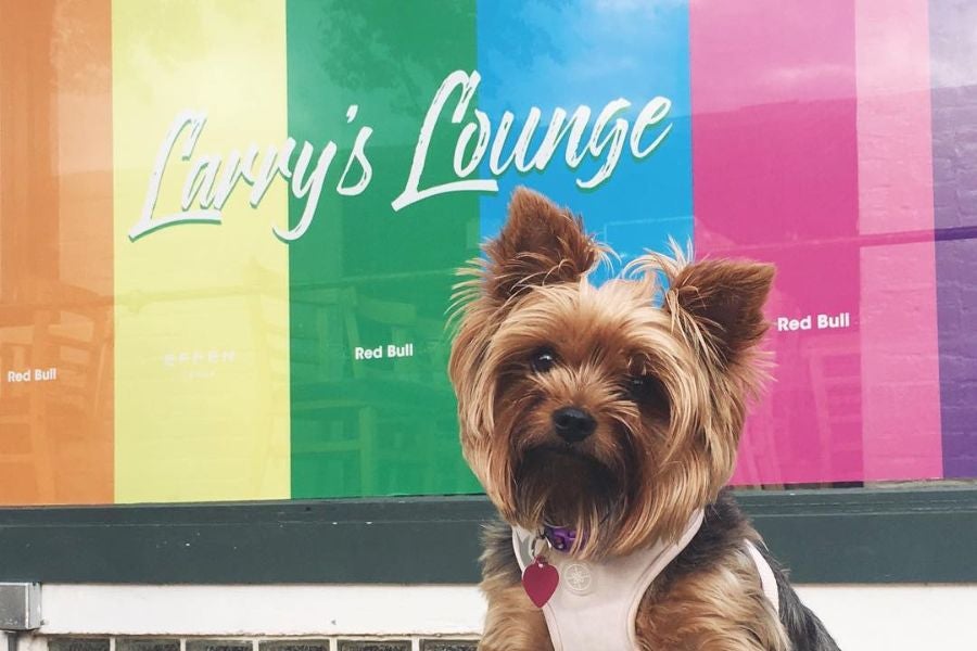 DC’s Best LGBTQ Bars & Clubs to Check Out | Washington DC