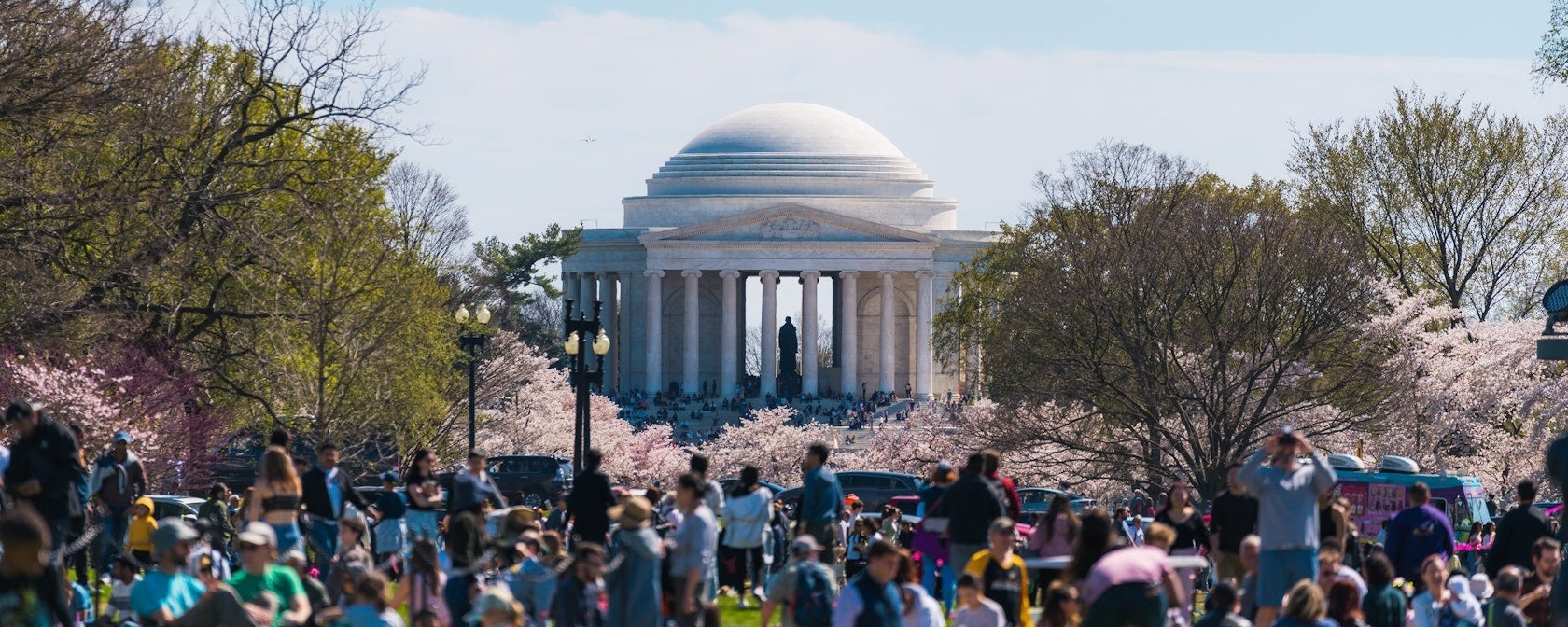 Guide to the National Cherry Blossom Festival in Washington, DC