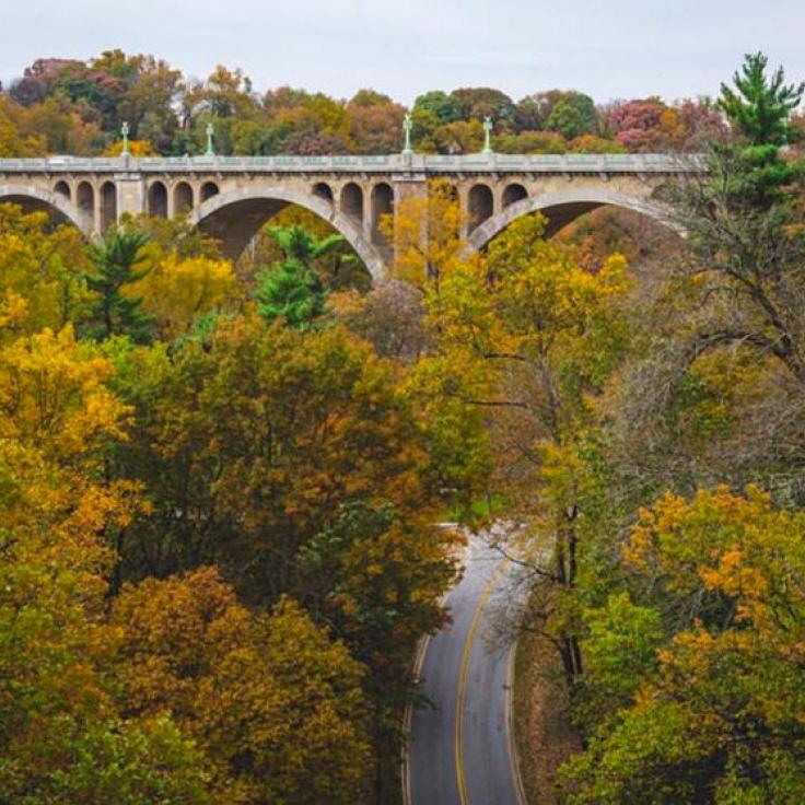 The Best Things to Do This Fall in Washington, DC | Washington DC