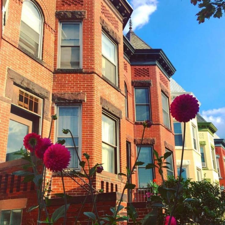 Columbia Heights Neighborhood Washington DC | Washington DC