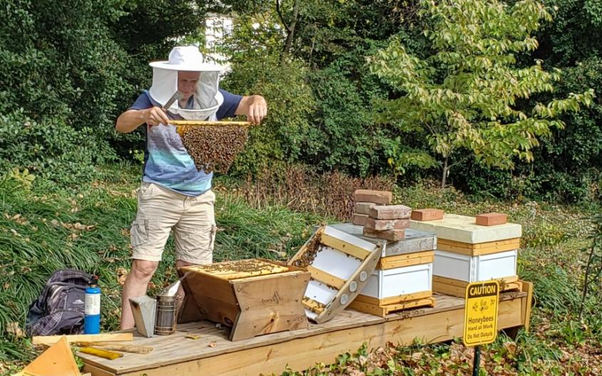 Georgetown Washington DC Neighborhood | Washington DC