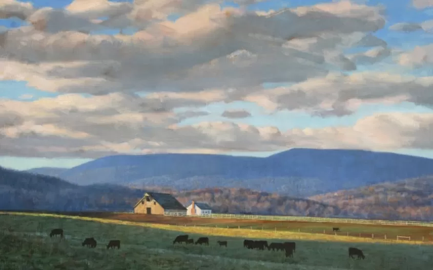 Upper Northwest Neighborhood in DC | Washington DC