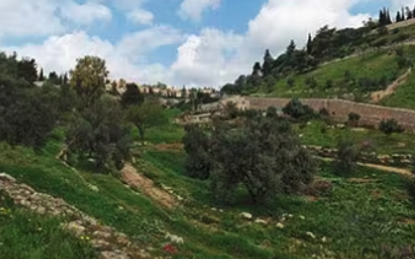 Southwest & The Wharf Neighborhood in DC | Washington DC