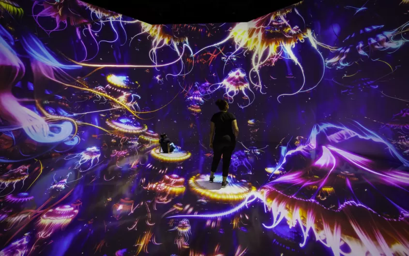 Southwest & The Wharf Neighborhood in DC | Washington DC