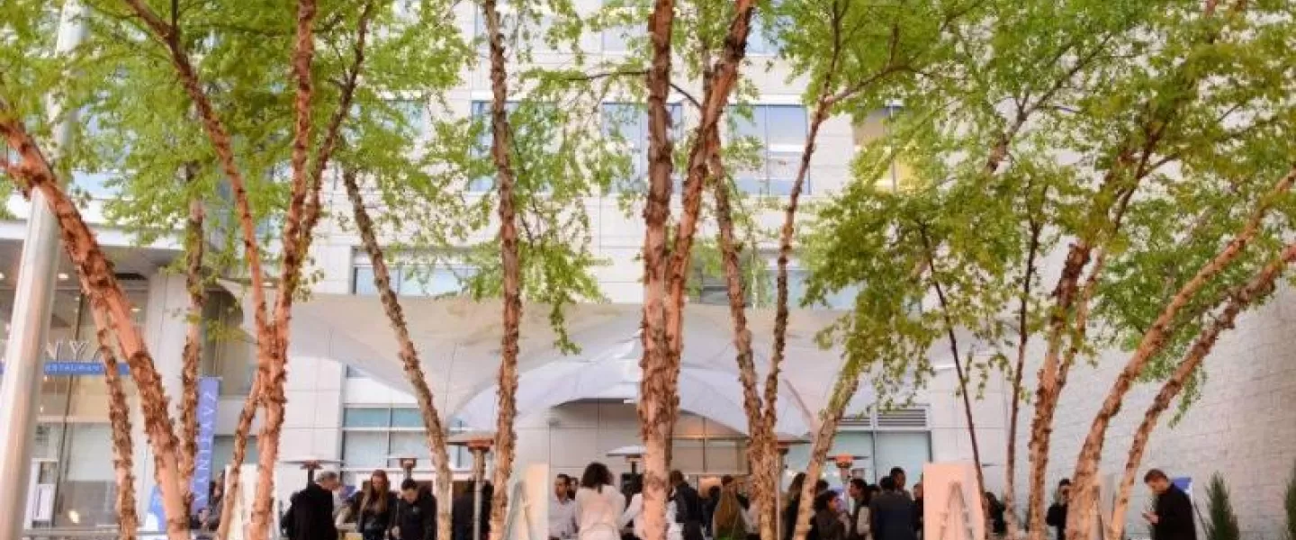 Zaytinya | Washington DC