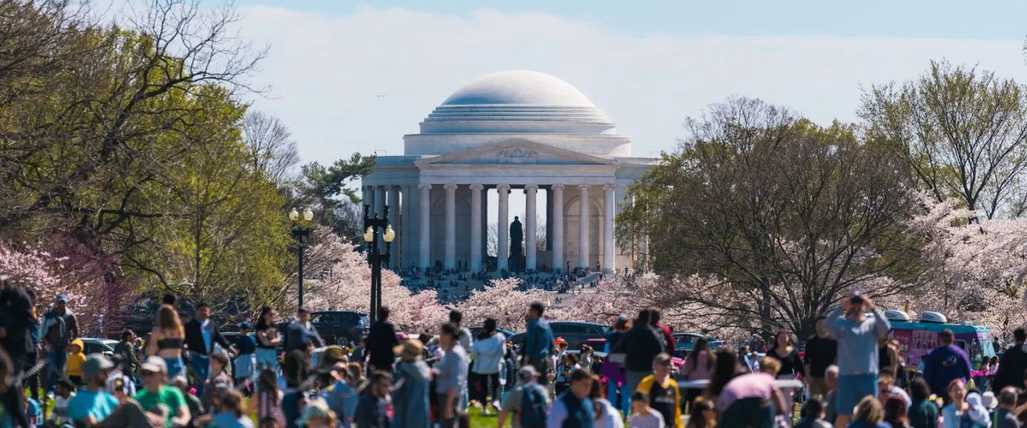 Guide to the National Cherry Blossom Festival in Washington, DC
