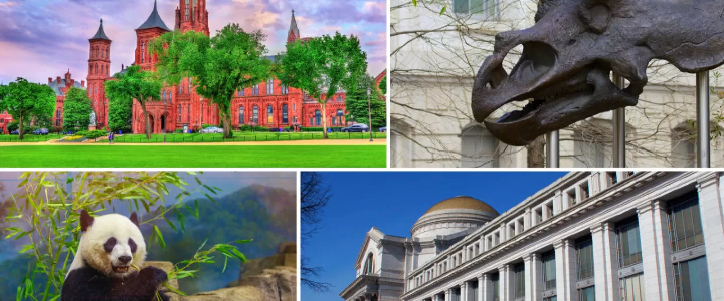 Tesoros de América | Washington DC