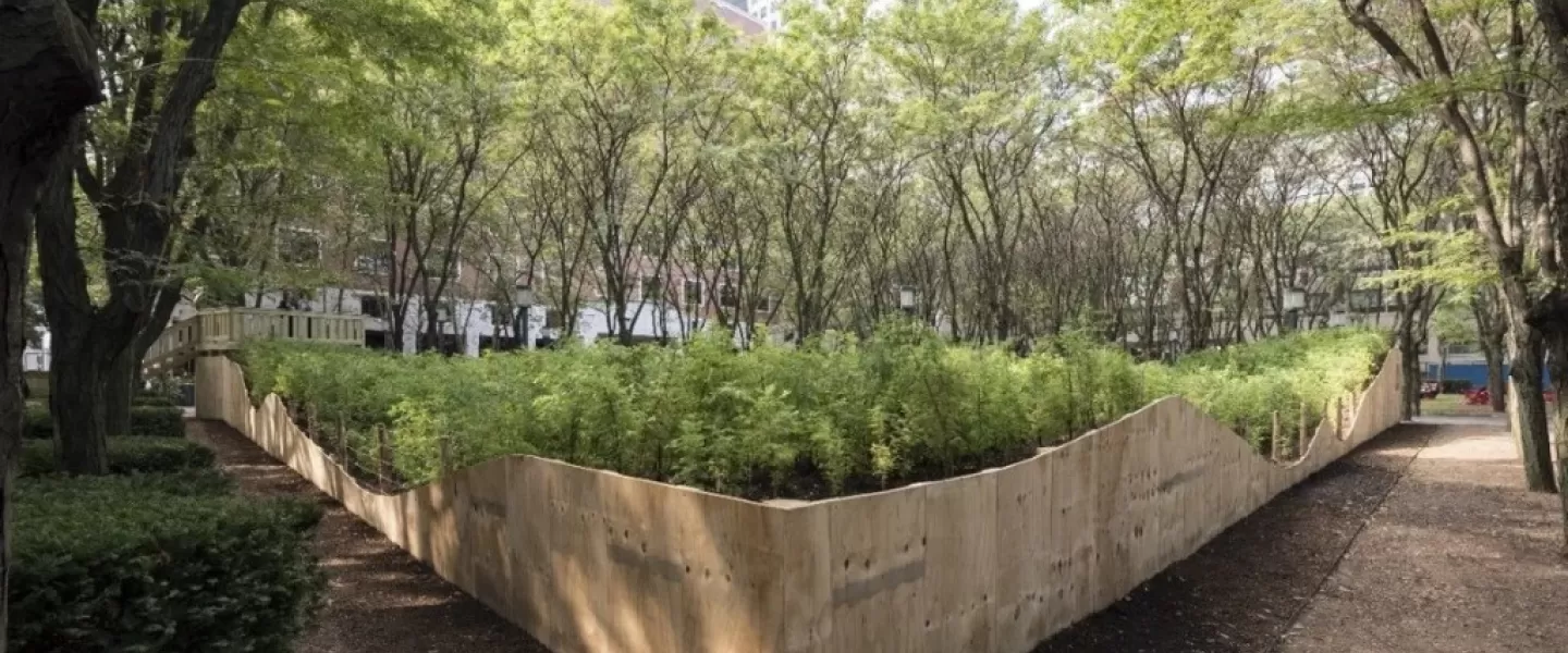 Artist Spencer Finch in Conversation | Washington DC