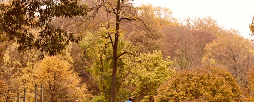 10 Things to Do in Rock Creek Park | Washington DC