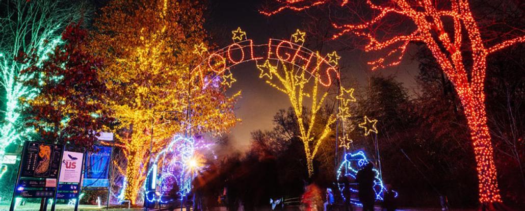 The 10+ Best Holiday Events & Christmas Light Displays in DC