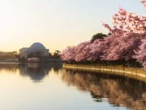 The Best Things to Do This Spring in DC | Washington DC