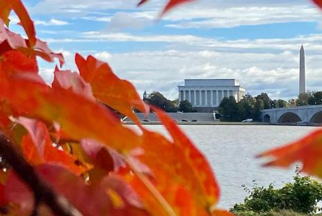 DC Neighborhoods | Washington DC